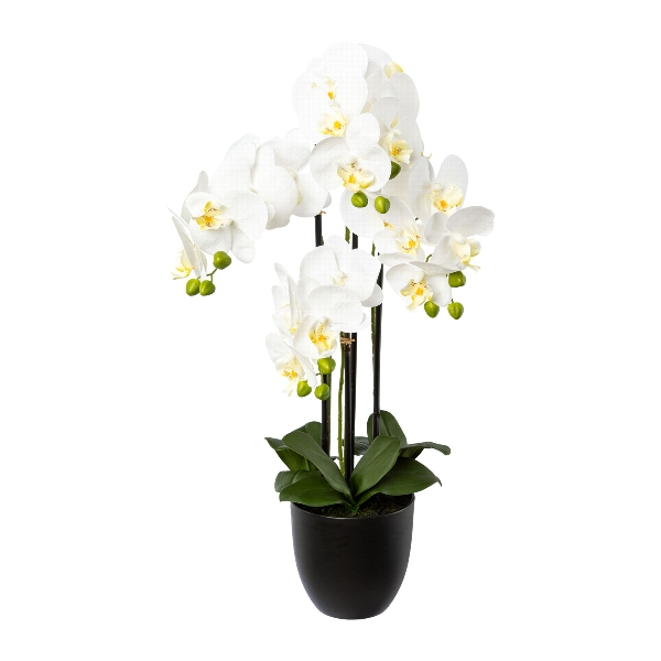 Kunstpflanze Orchidee im Resintopf,weiß H: 69 cm Gasper