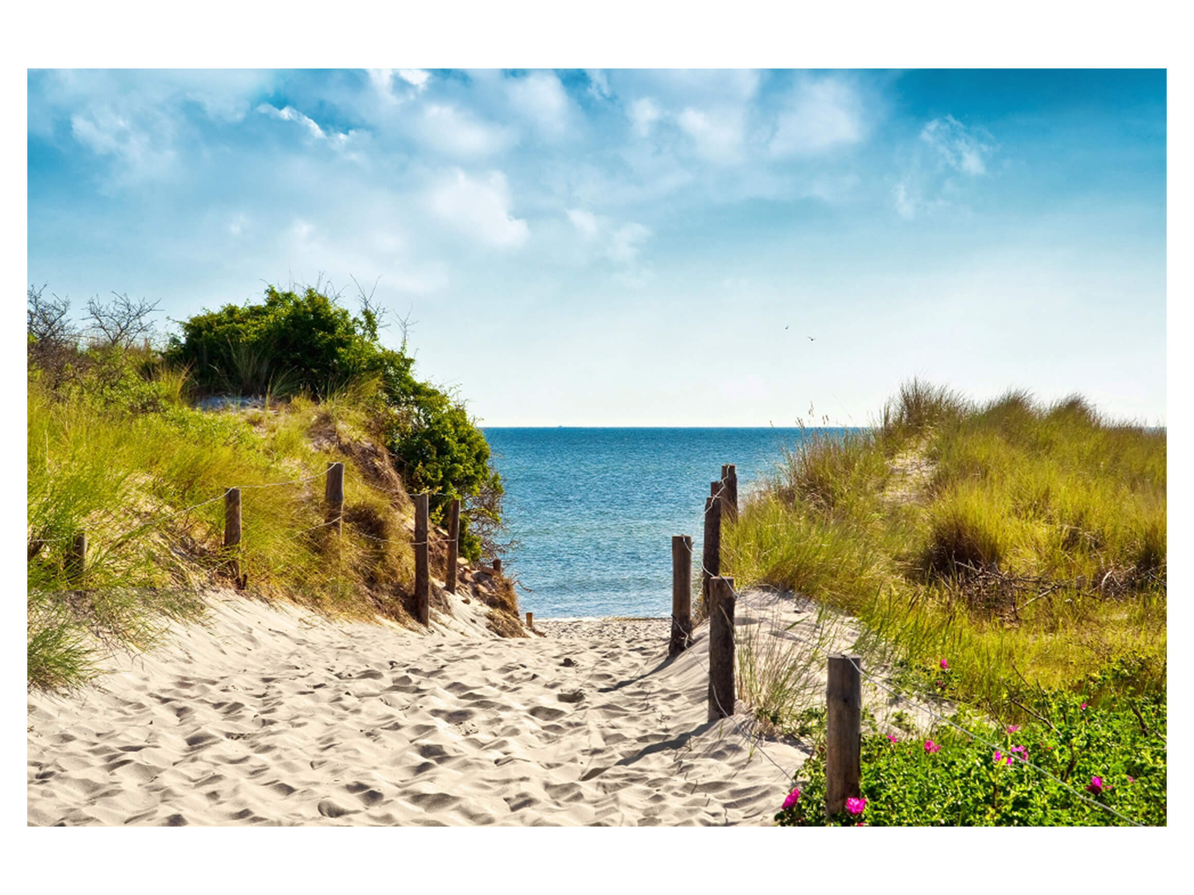 Digitaldruck auf Acrylglas Sandweg Zum Meer 1 image LAND / Grösse: 120 ...