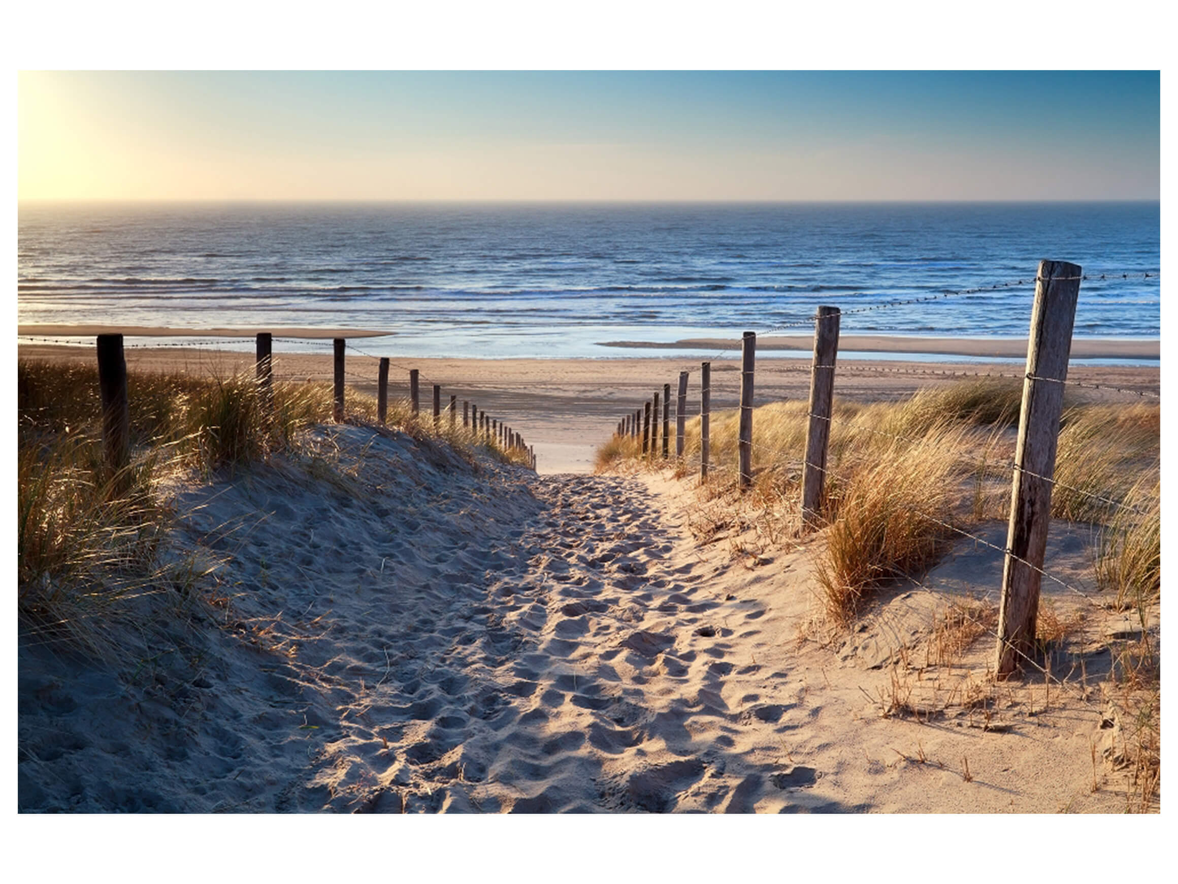 Digitaldruck auf Acrylglas Sandweg Zum Meer 2 image LAND / Grösse: 150 ...