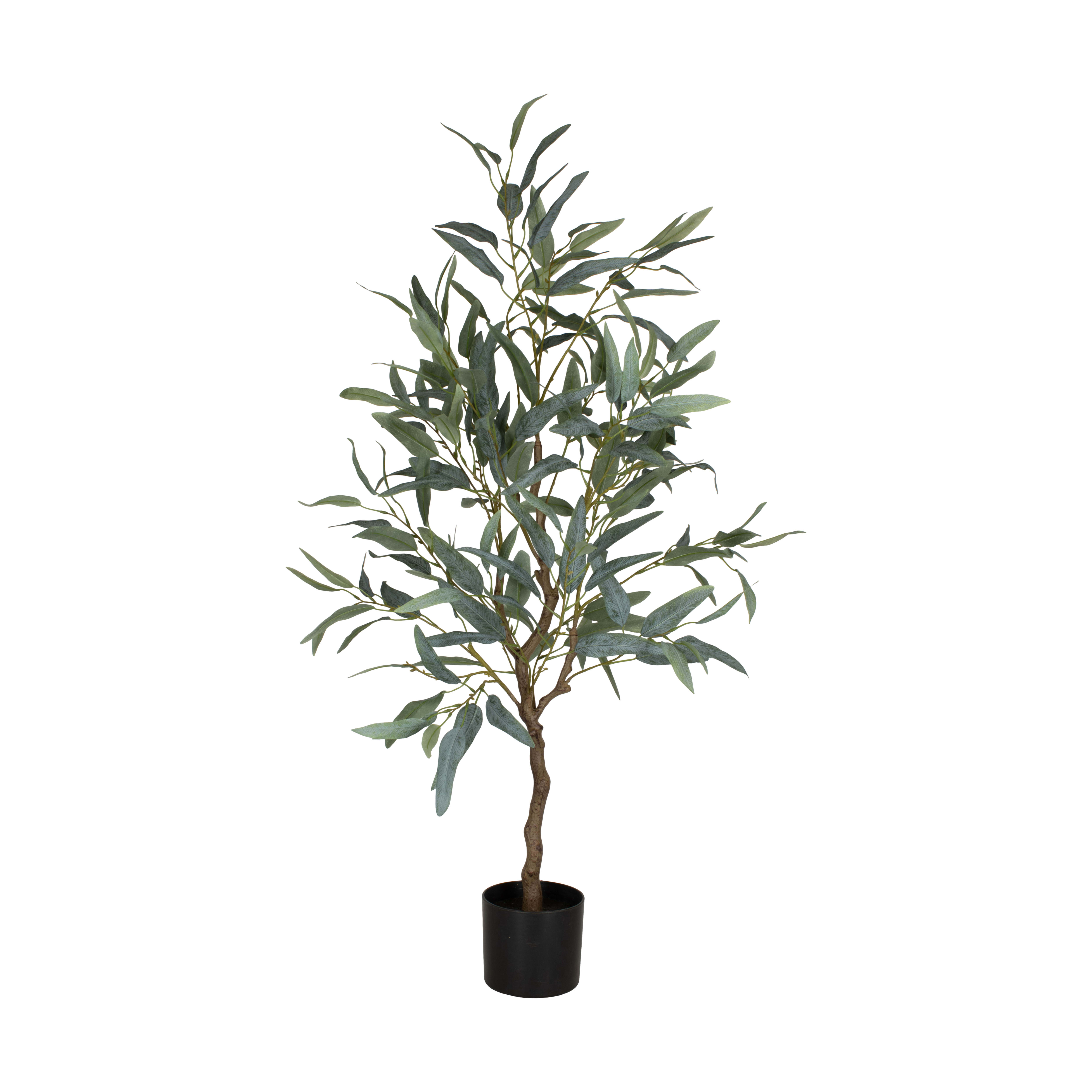 Eucalyptus H : 120 cm | 35131.1.