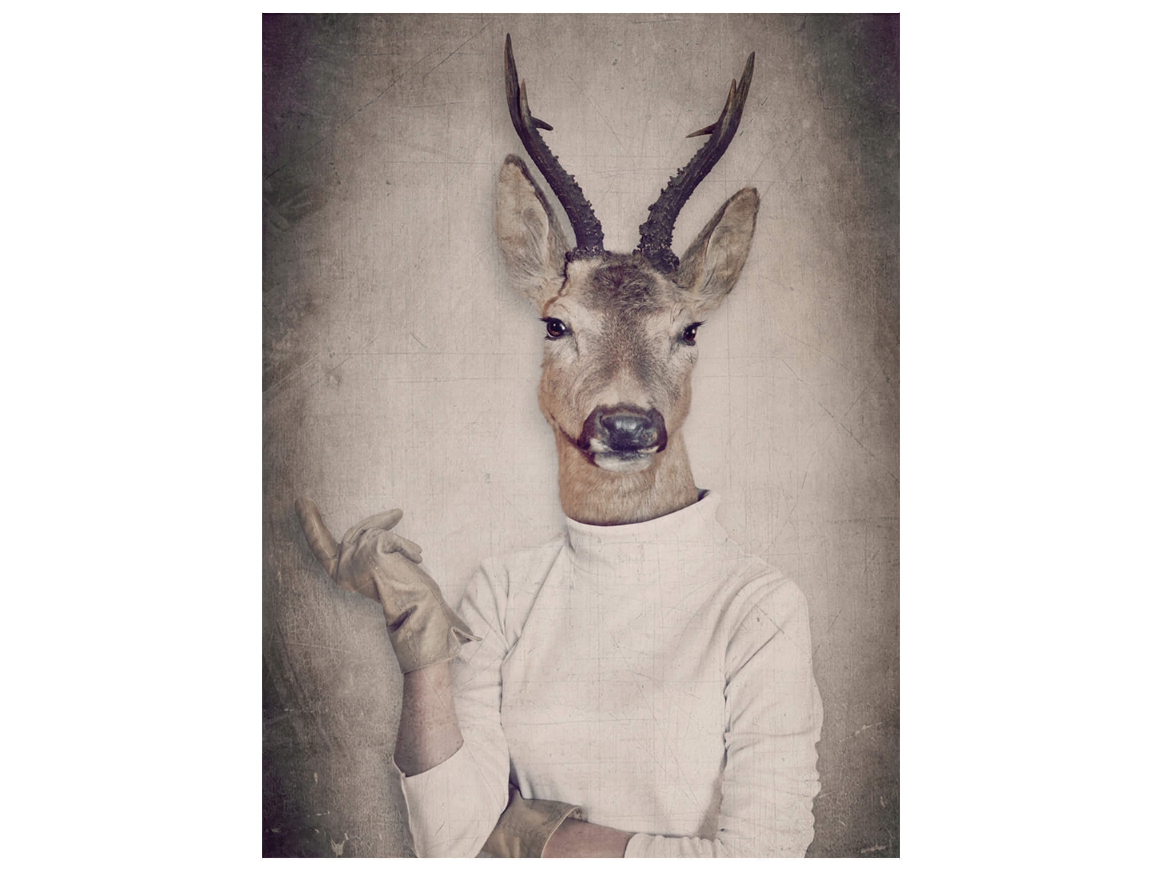 Digital print on glass roebuck with jumper image LAND