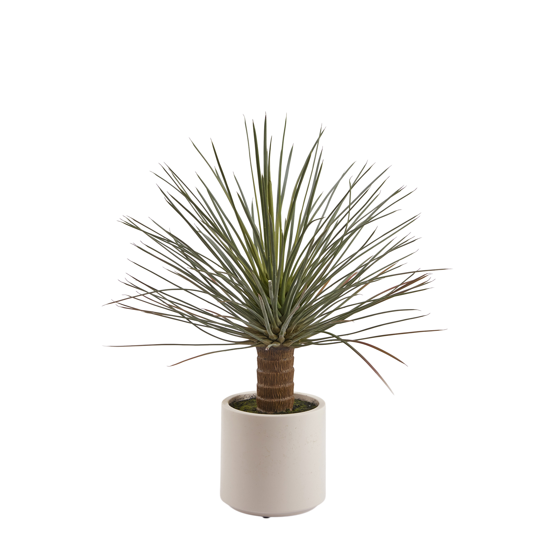 Kunstpflanze Yucca H: 81 cm Edg