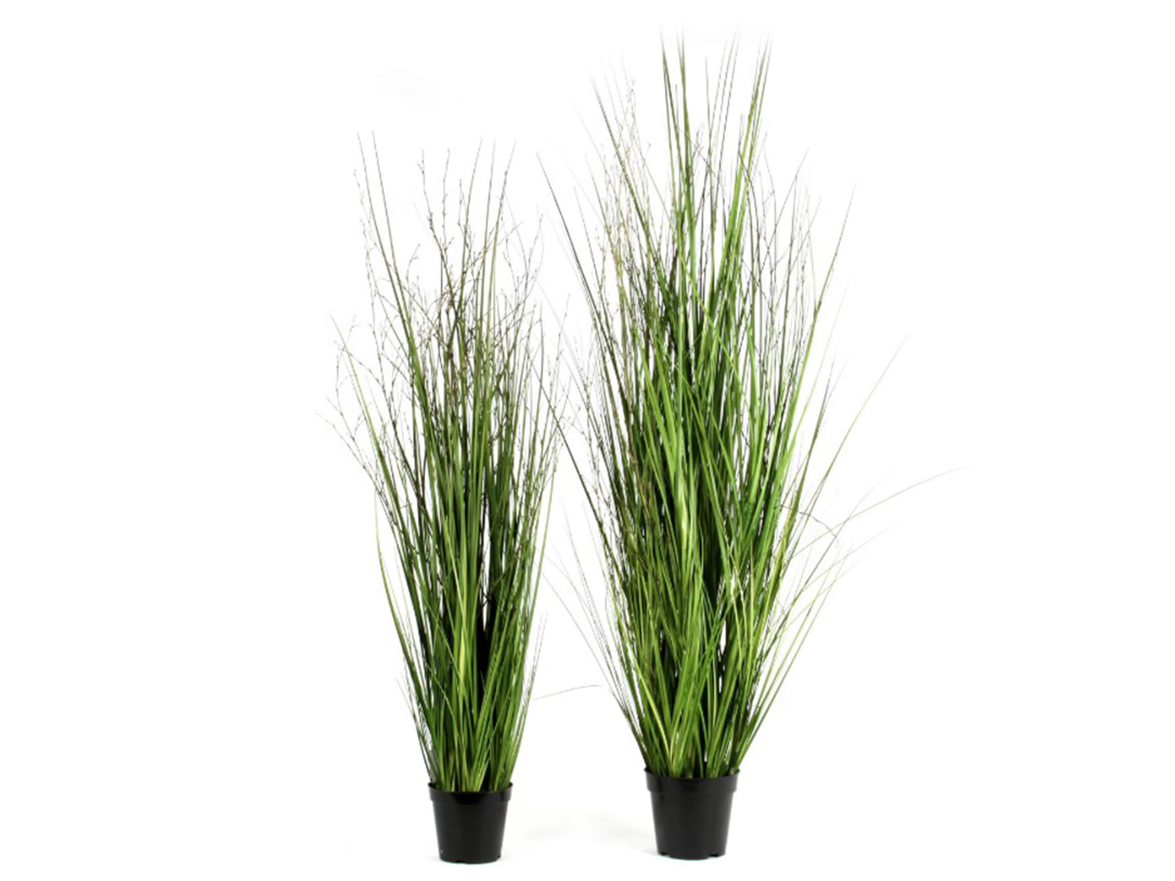 Plantes artificielles Herbe aux oignons H : 110 cm Decofinder