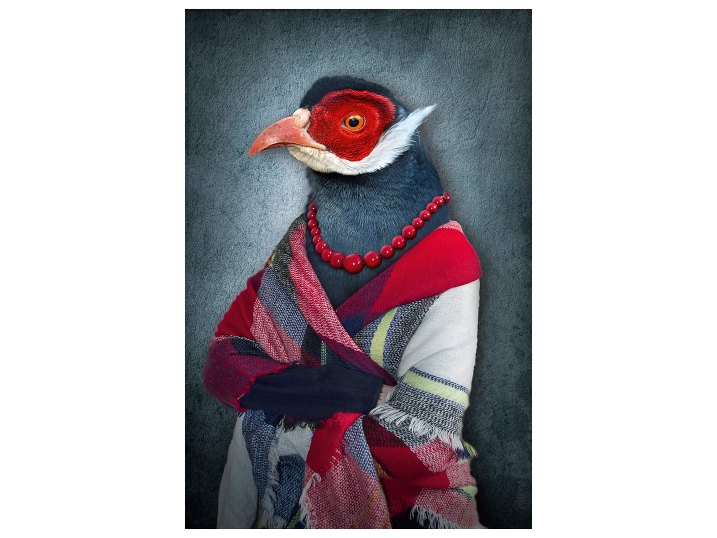 Impression numérique sur verre Faisan bien habillé image LAND