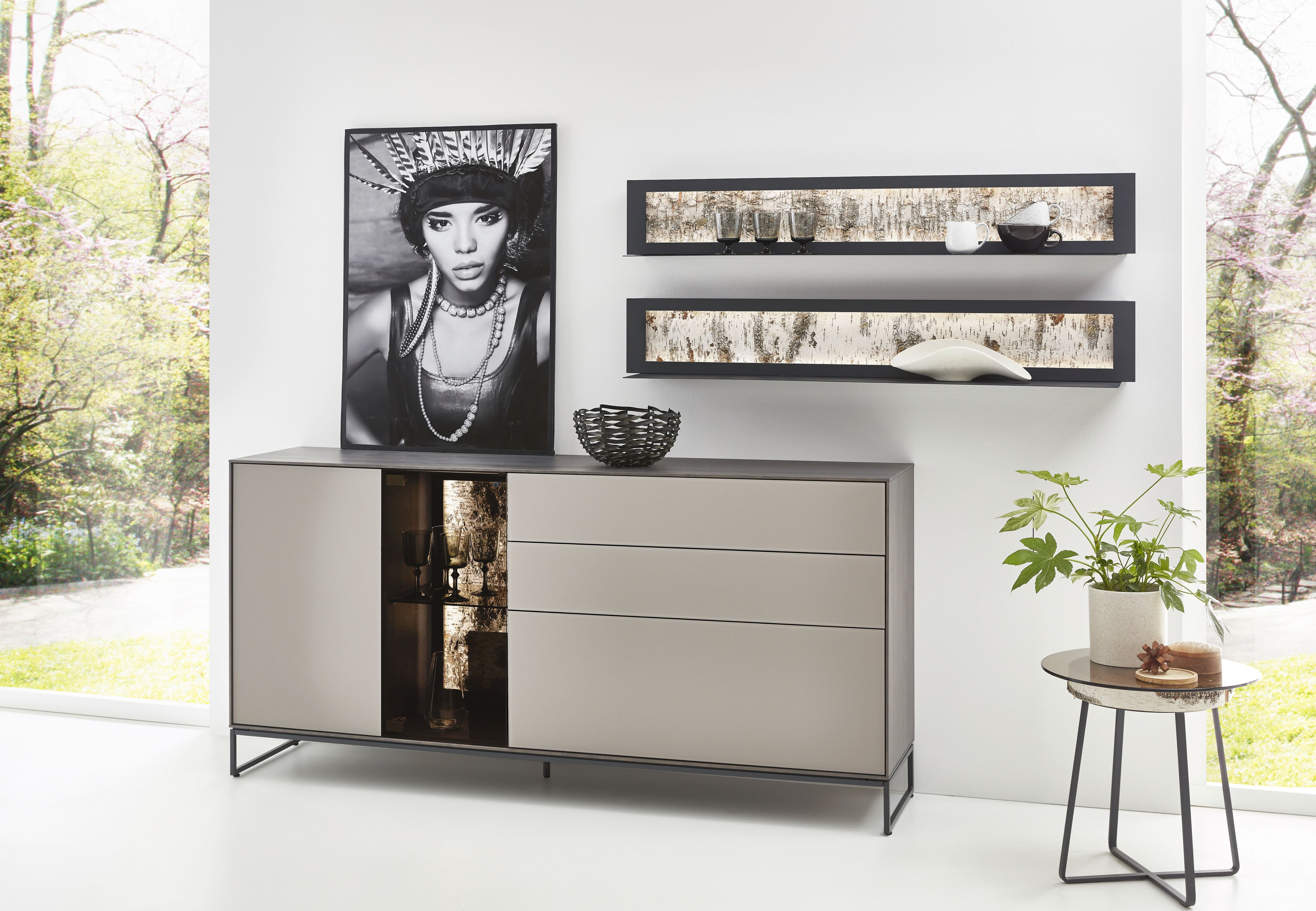 Adamo Hartmann wall unit / Colour: Wood-coloured