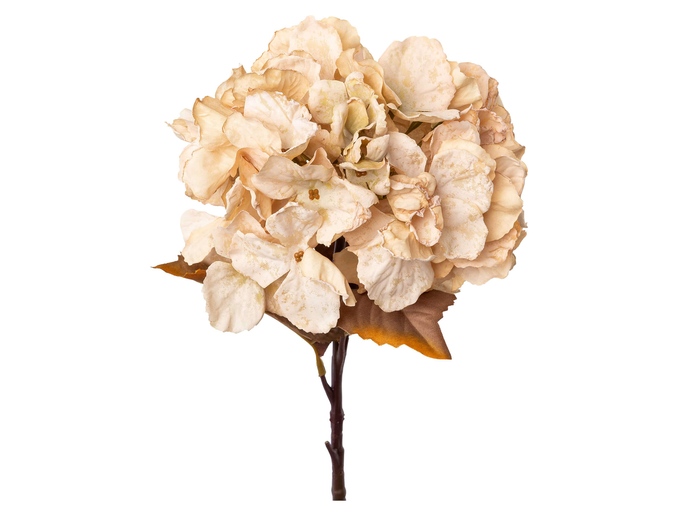 Fleur artificielle hortensia crème H : 48 cm Gasper
