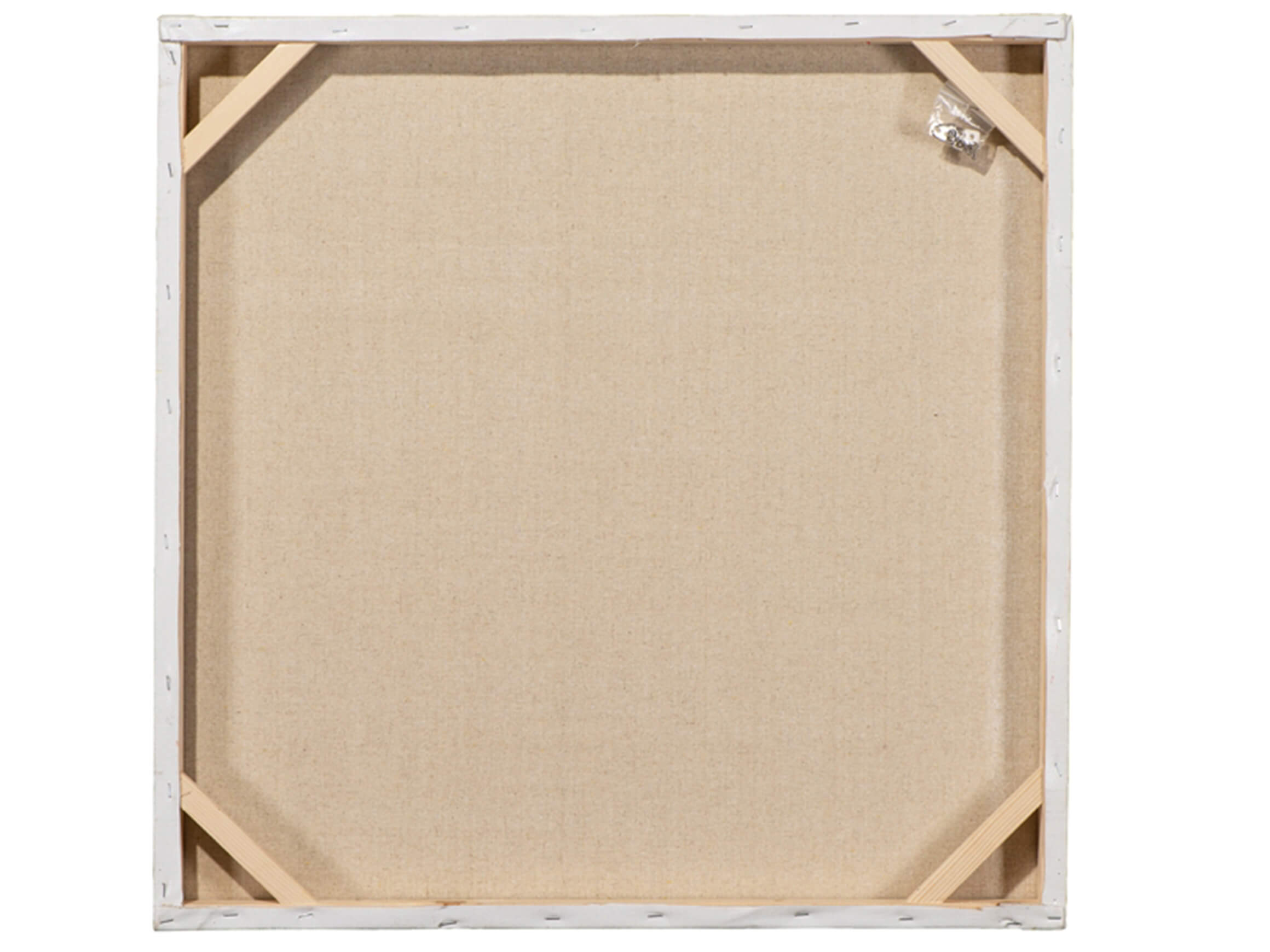 Bild Tier image LAND