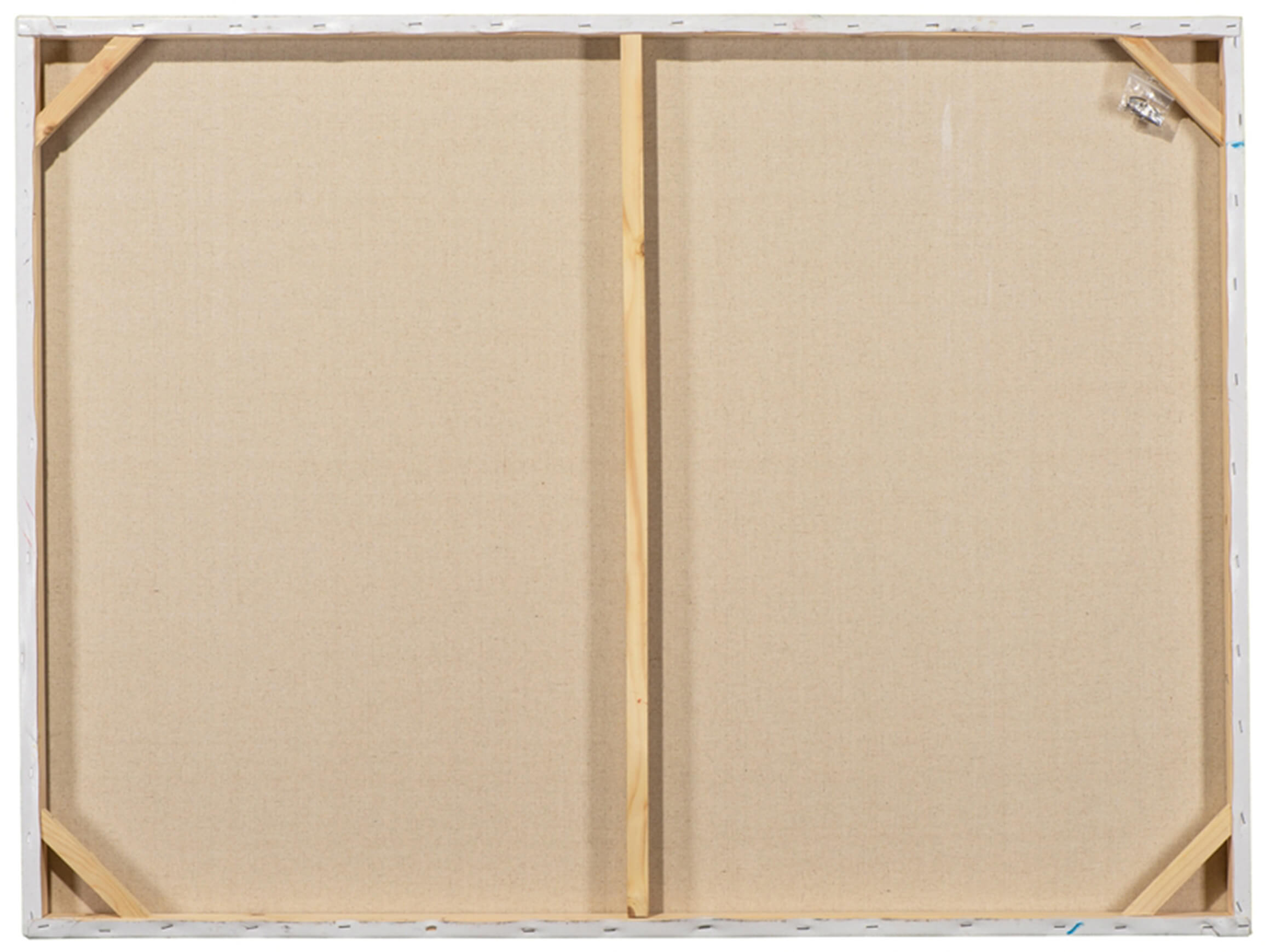 Bild Küstenlandschaft mit Wald und Bergen image LAND